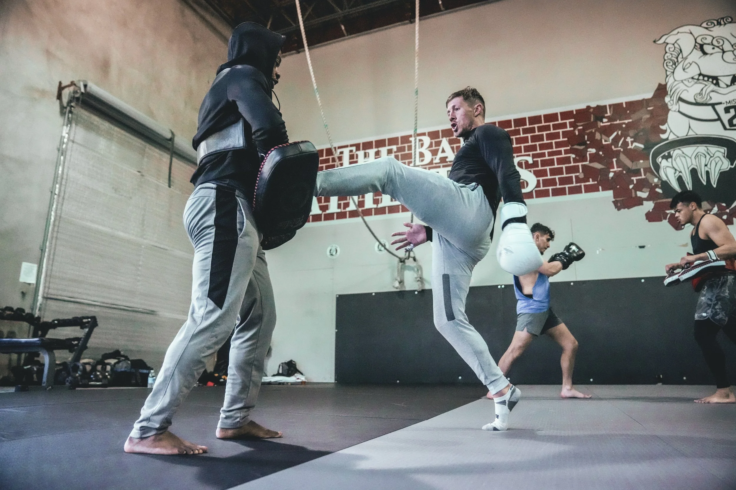Boxing, Muay Thai, Jiu Jitsu & MMA | Omni Movement