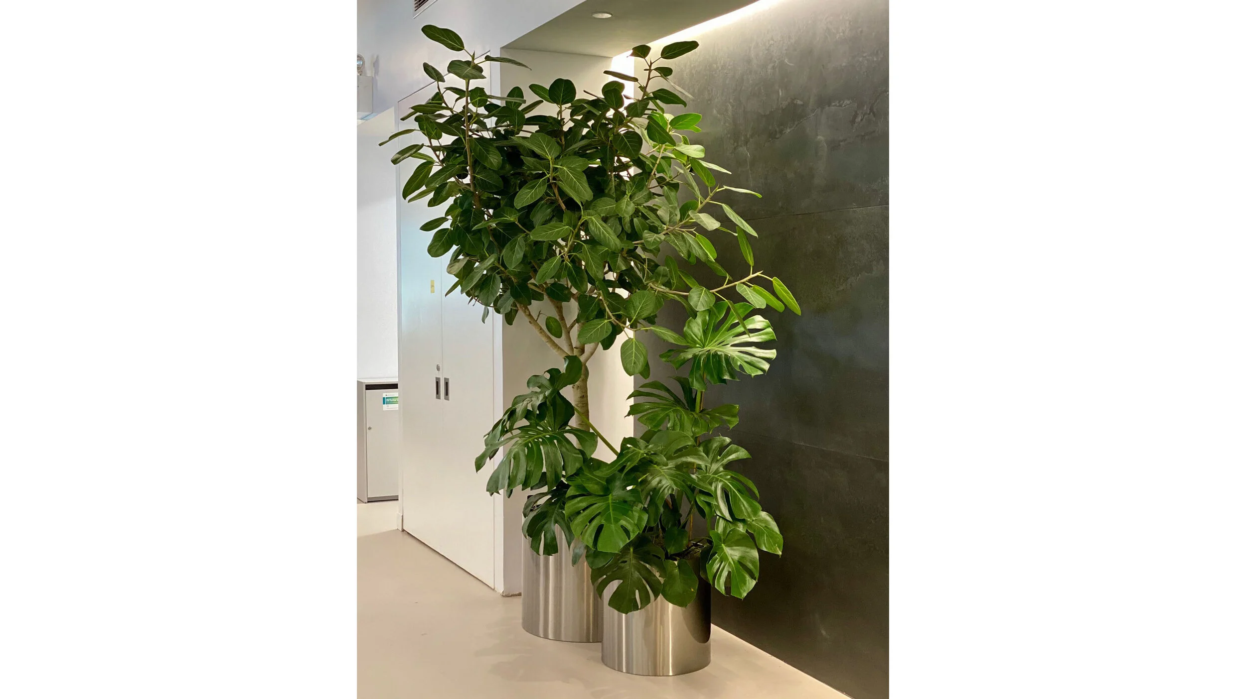 ZONE6 DESIGN - Landscape design in New York City