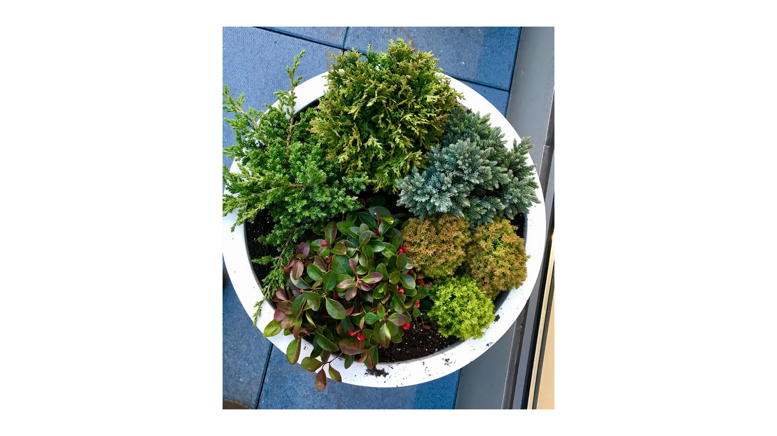 ZONE6 DESIGN - Landscape design in New York City