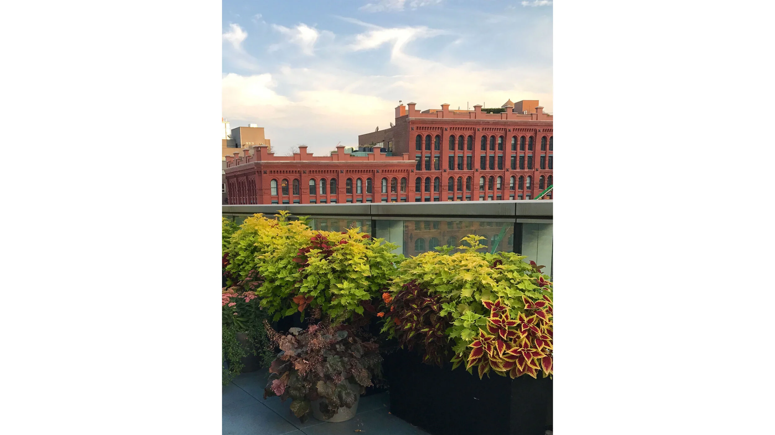 ZONE6 DESIGN - Landscape design in New York City