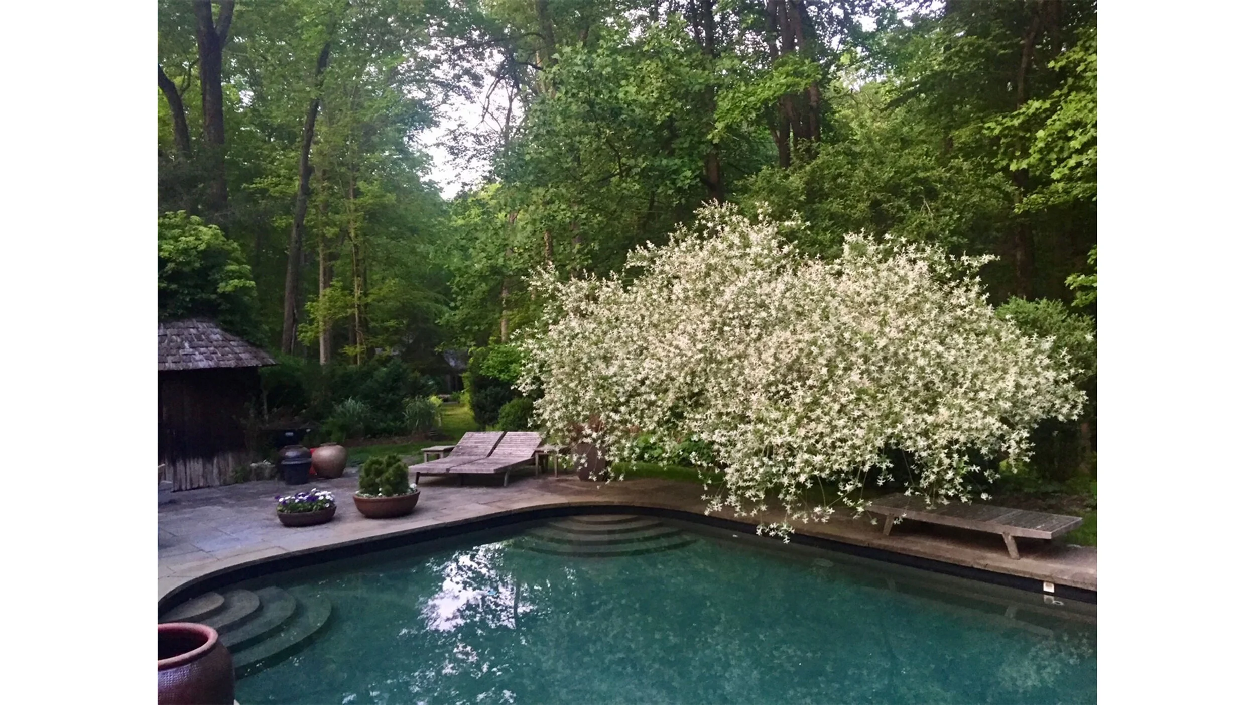 ZONE6 DESIGN - Landscape design in New York City