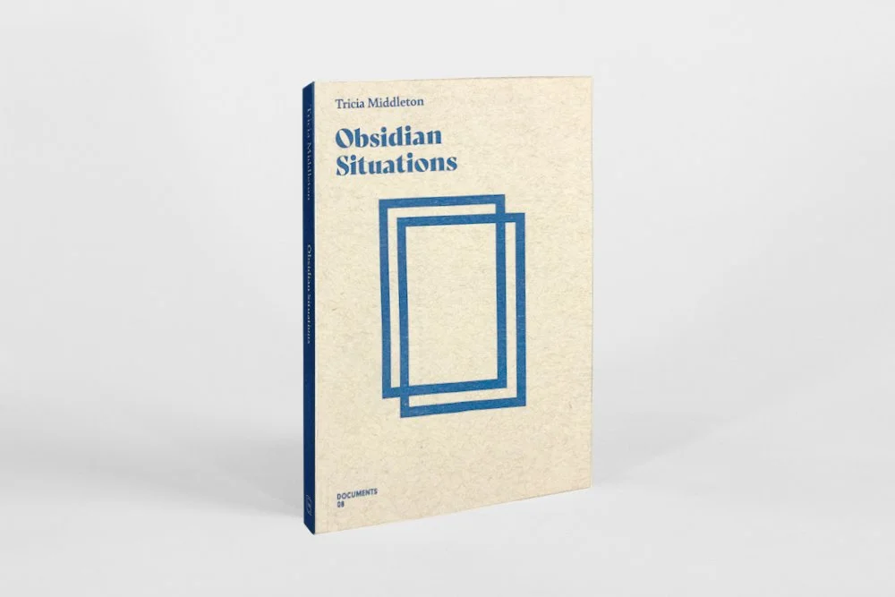 Obsidian Situations - Tricia Middleton — Anteism Books