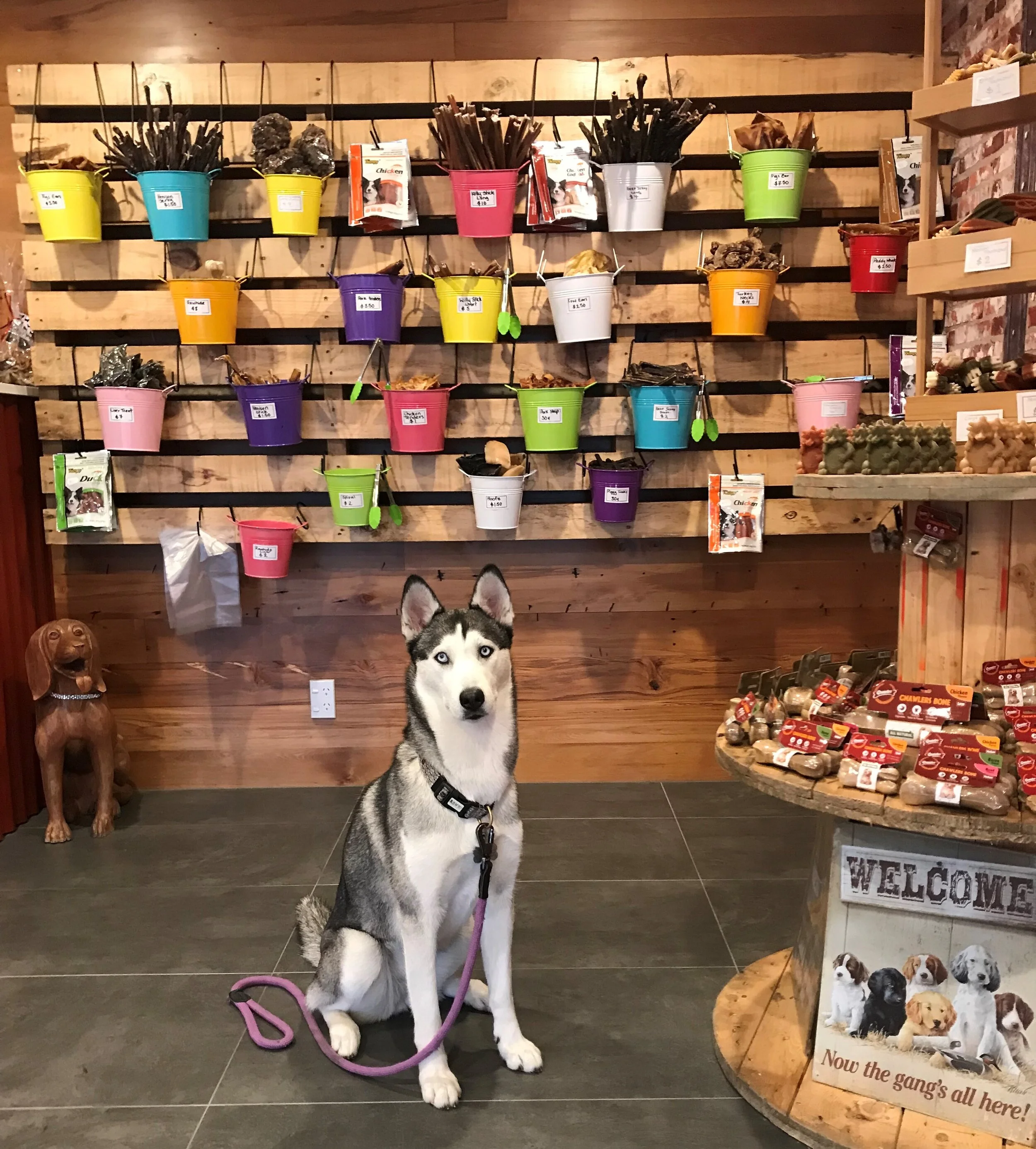 SNIFFERS TREAT SHOP — The Dog Spa and Wagging Tails Day Care Nelson