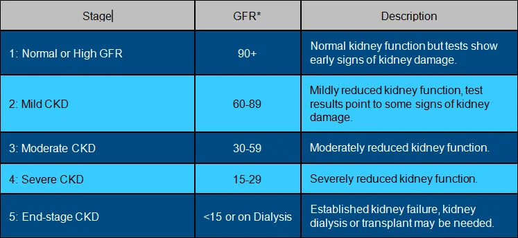 Ckd Classification