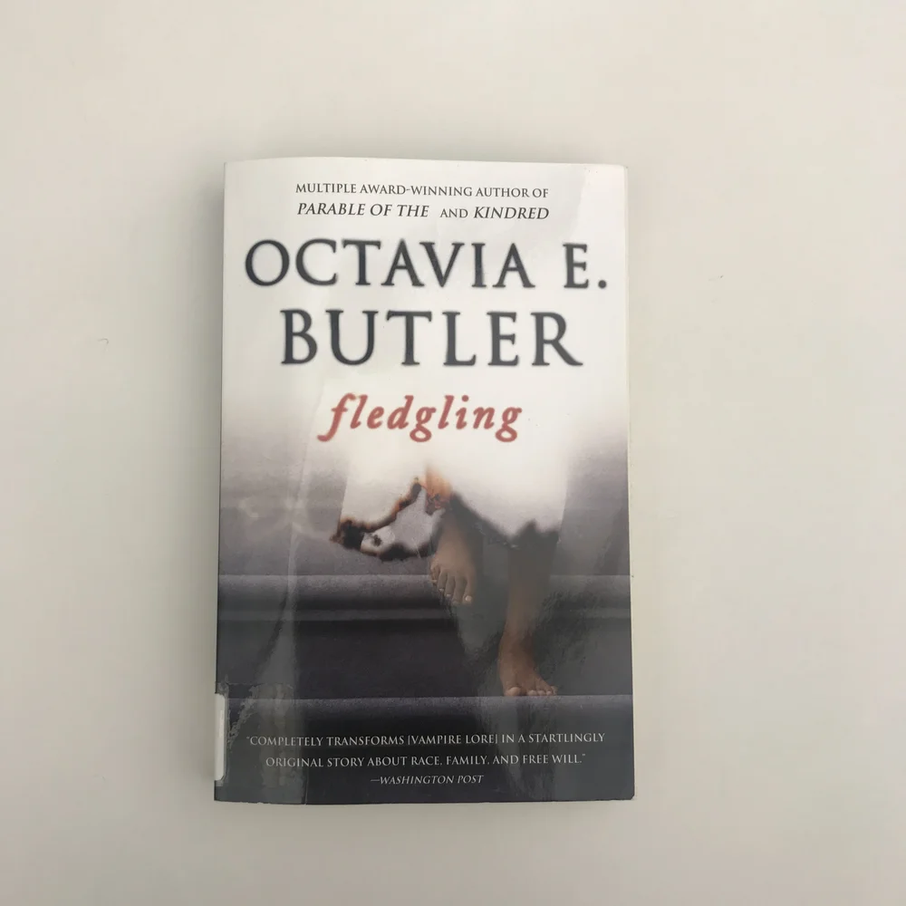 Library Work — Barbara Calderón