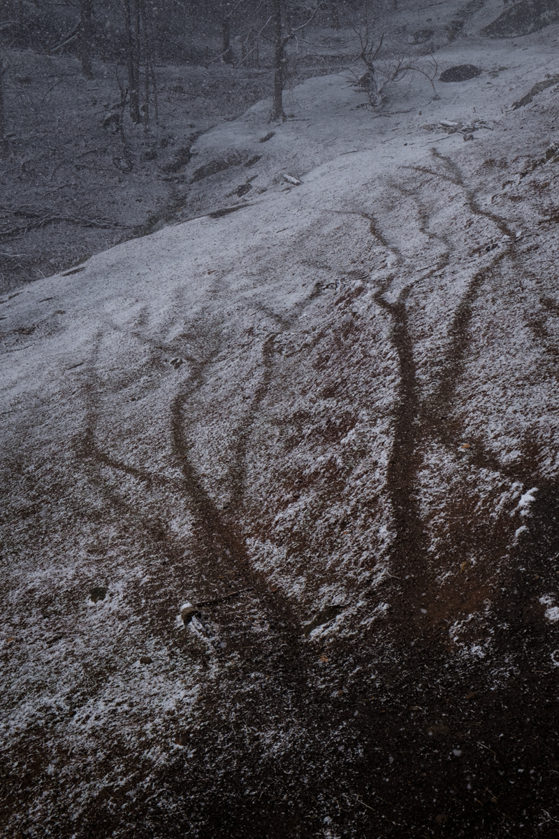 Scapes & Traits — Rob Amberg