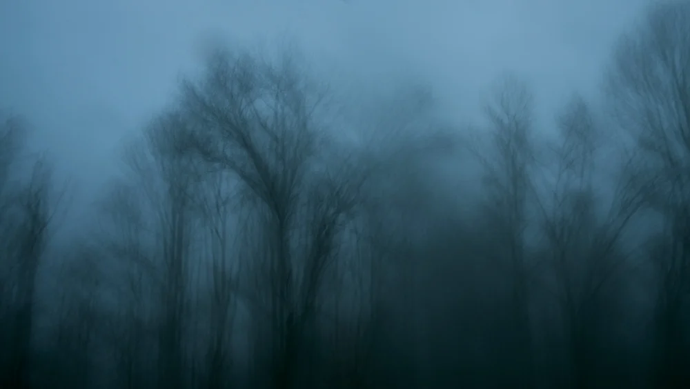 Galleries — Rob Amberg