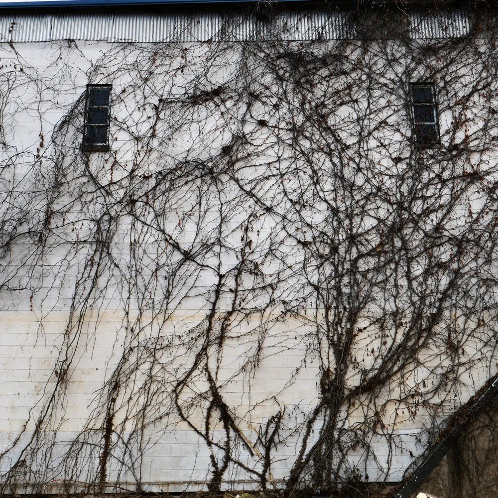 Pictures & Words — Rob Amberg