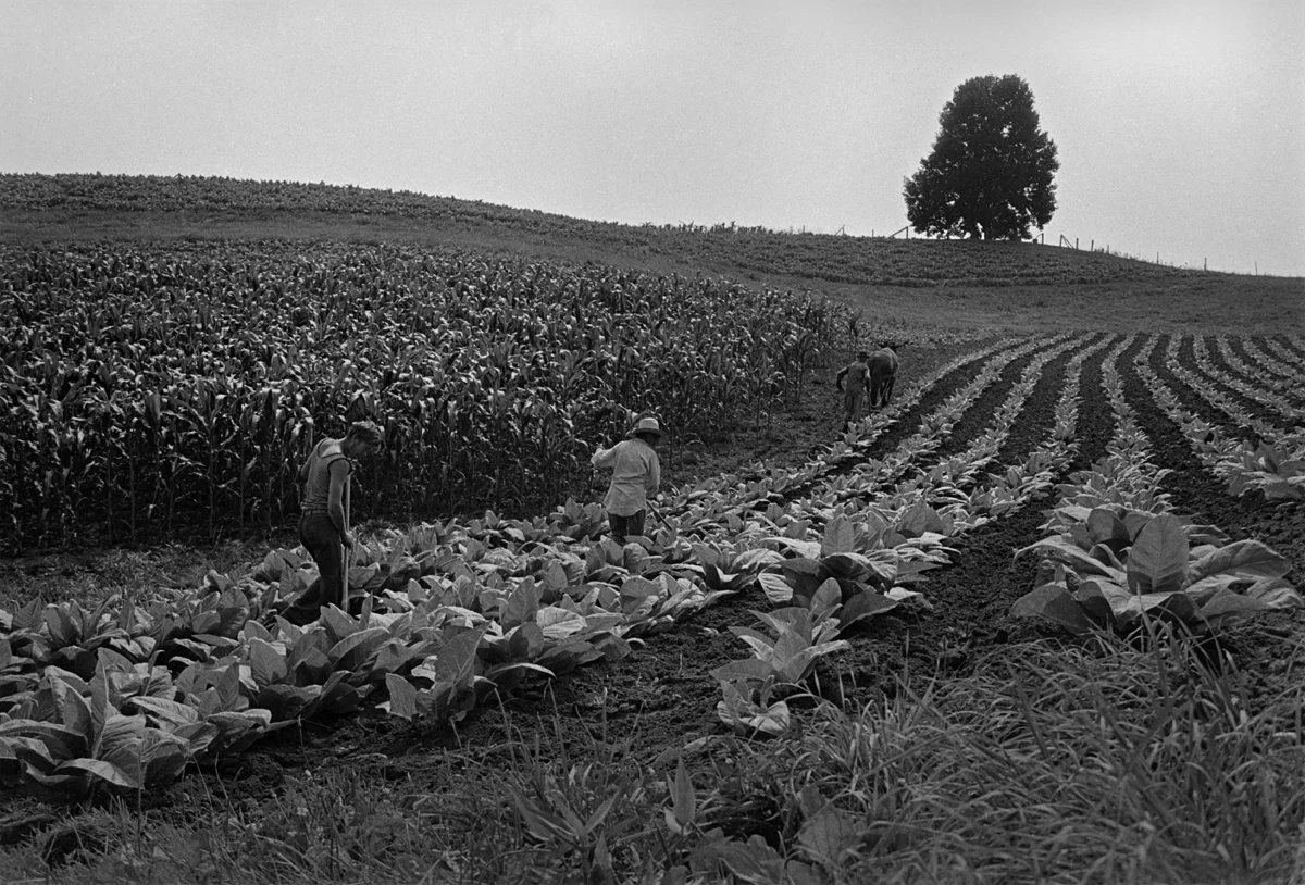 Pictures & Words — Rob Amberg