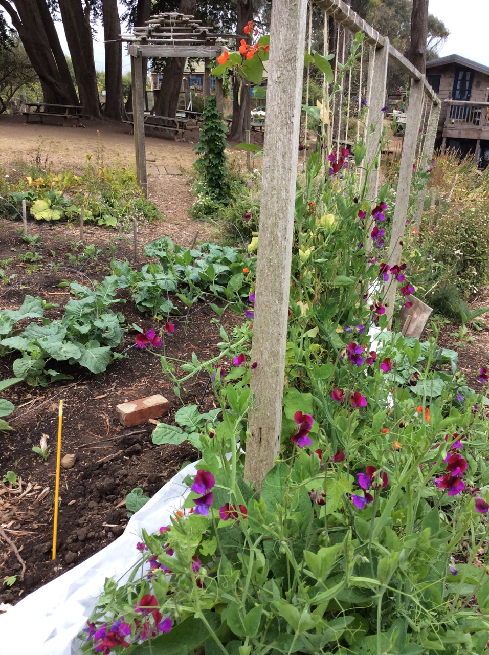 Highlights from Summer Camp — Slide Ranch