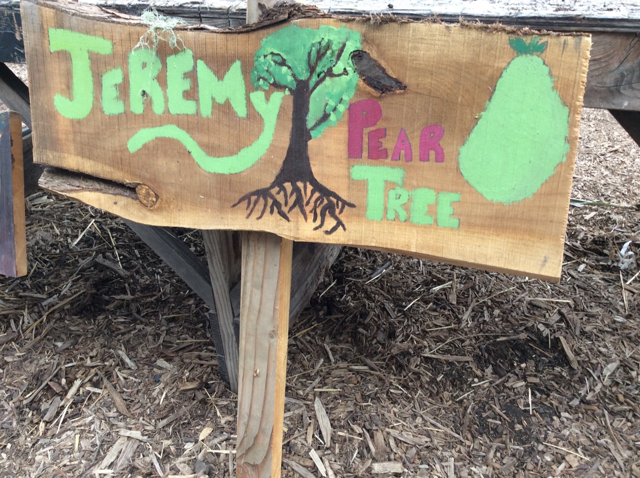 Highlights from Summer Camp — Slide Ranch