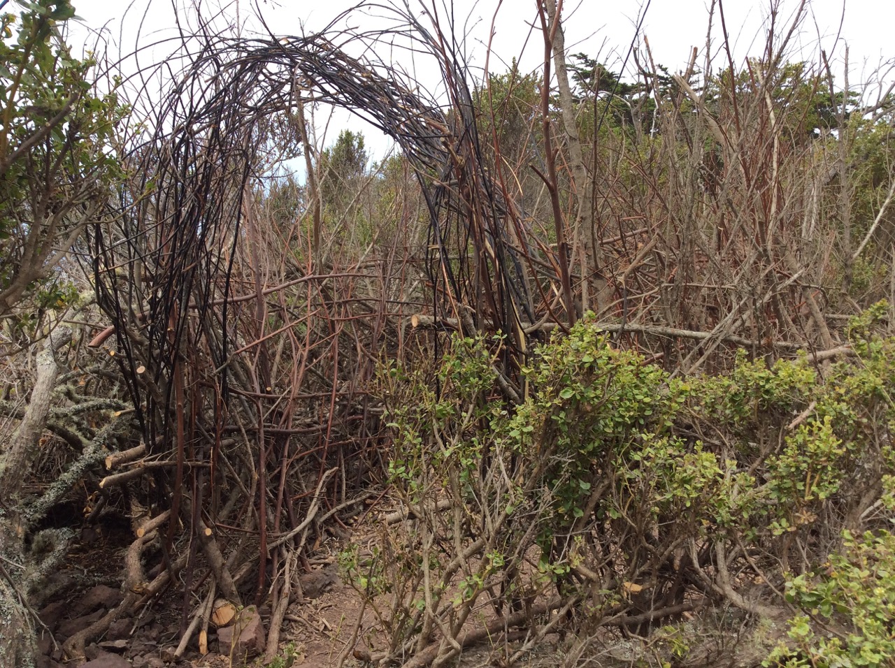 Highlights from Summer Camp — Slide Ranch