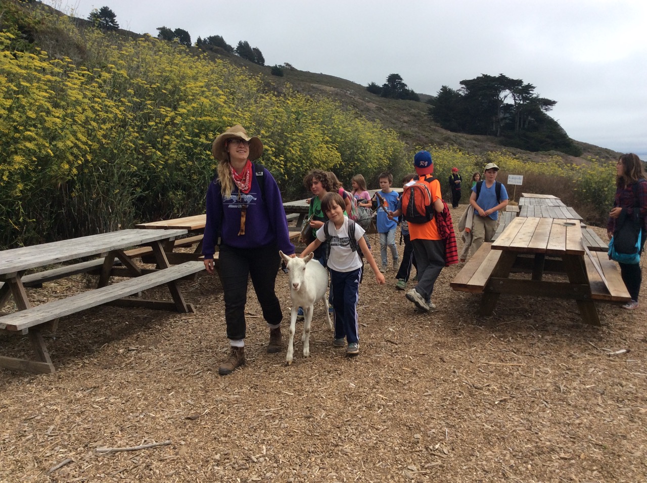 Highlights from Summer Camp — Slide Ranch