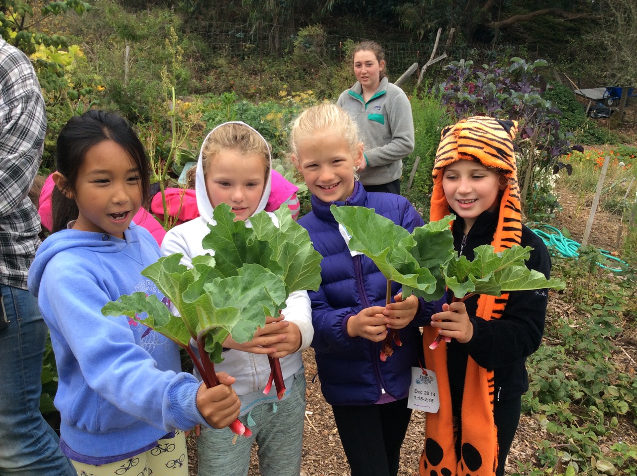Highlights from Summer Camp — Slide Ranch
