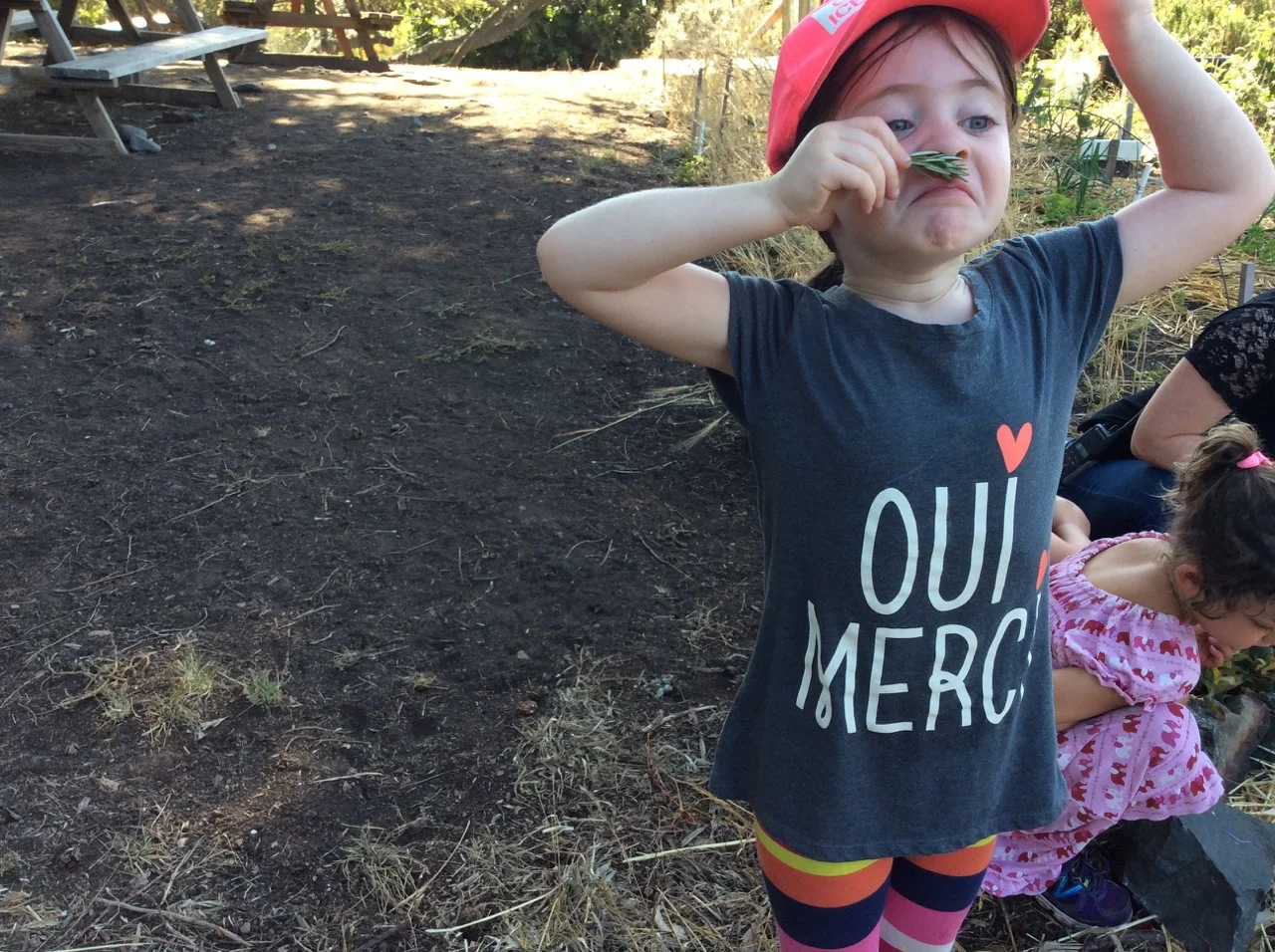 Highlights from Summer Camp — Slide Ranch