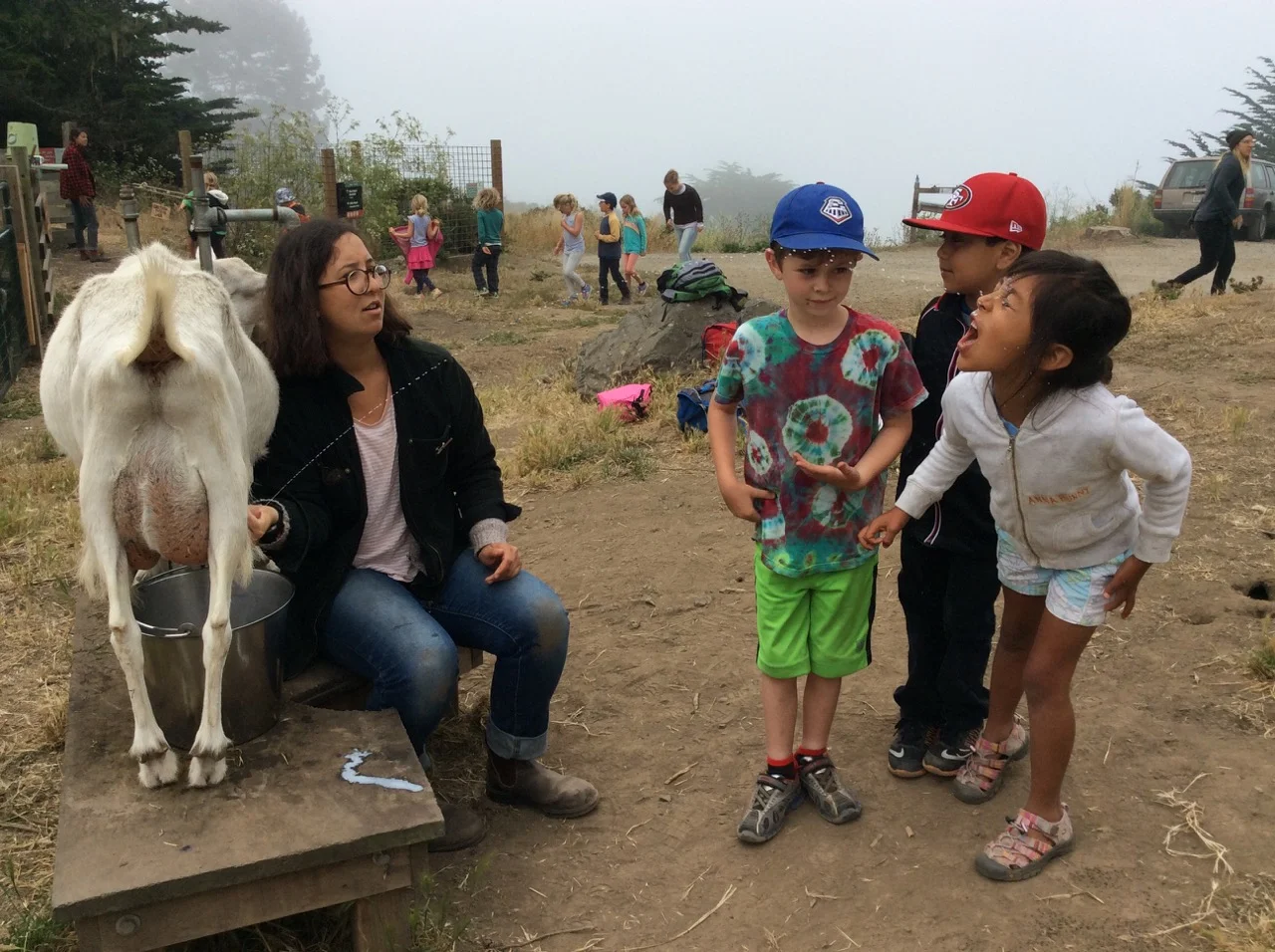 Highlights from Summer Camp — Slide Ranch