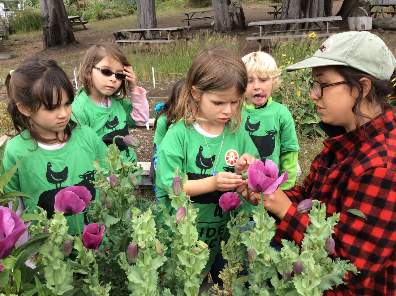 Highlights from Summer Camp — Slide Ranch