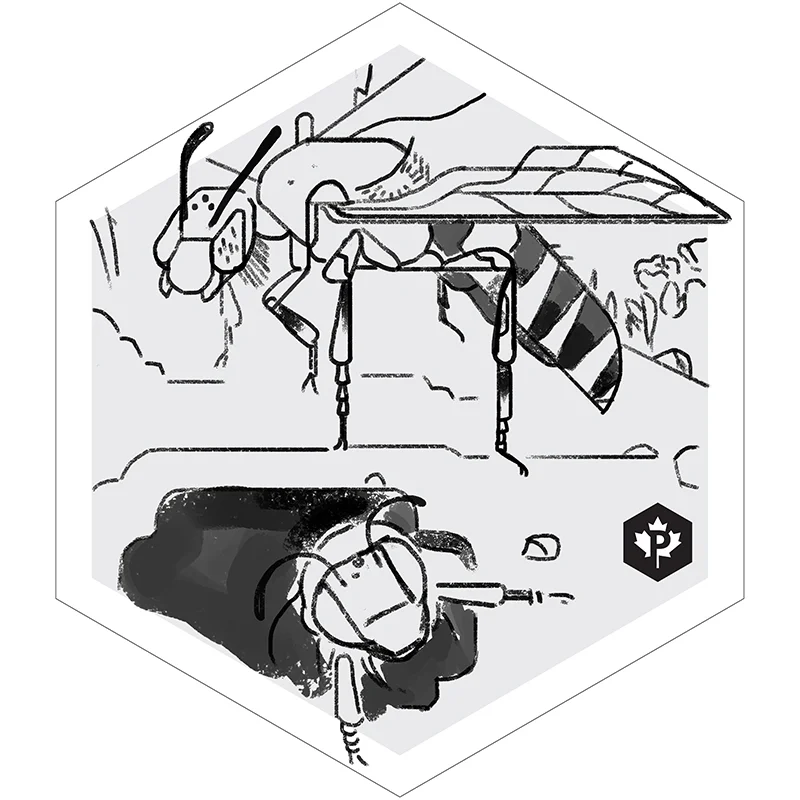 Blog — DAVE MURRAY