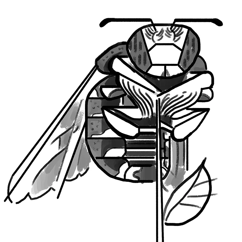 Blog — DAVE MURRAY