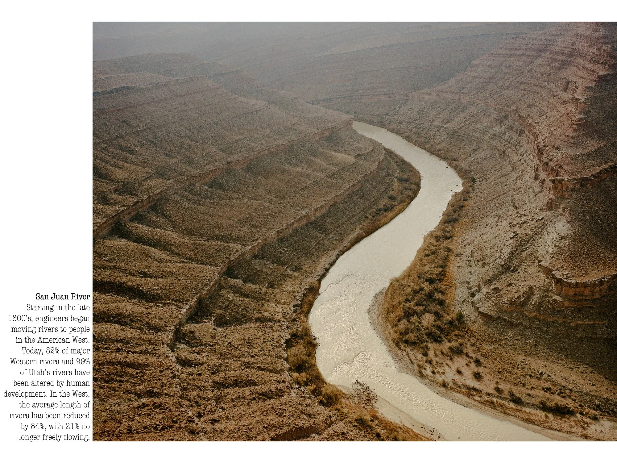 A Question Of Balance — ELLIOT ROSS STUDIO