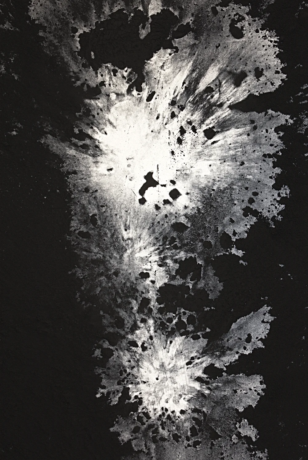 CC SERIES — TOM PRICE