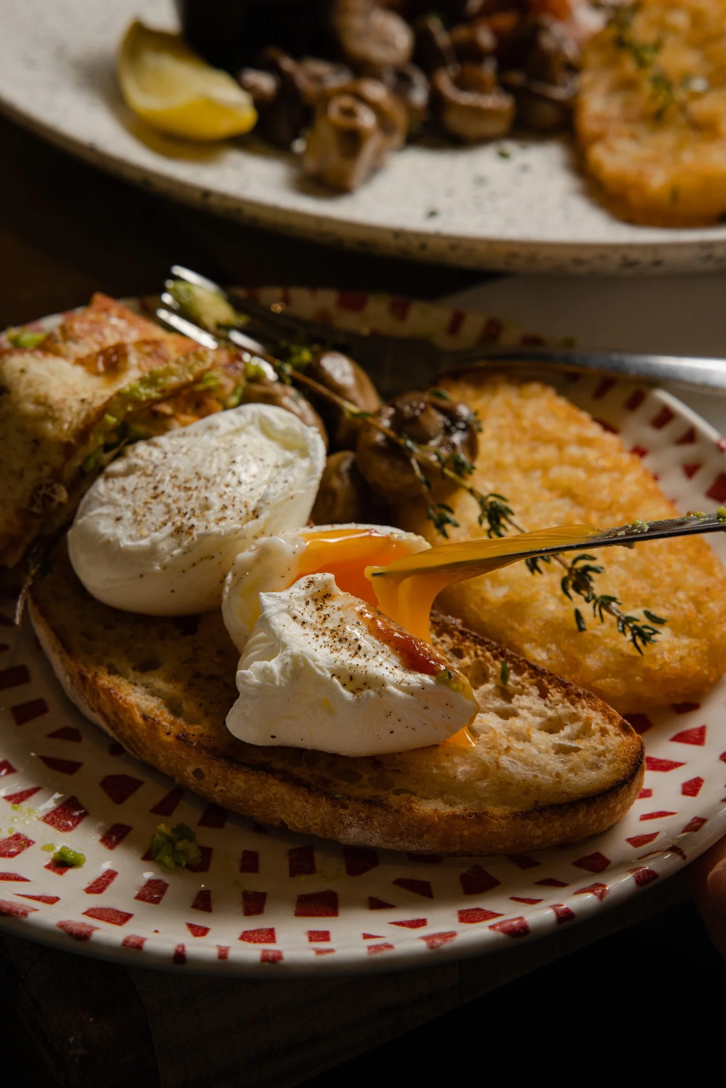 ALL DAY BREAKFAST — Elaia Cafe & Restaurant