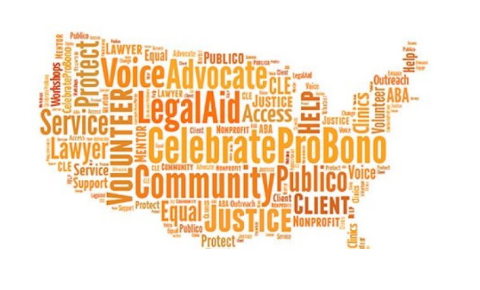 The Pro Bono Project