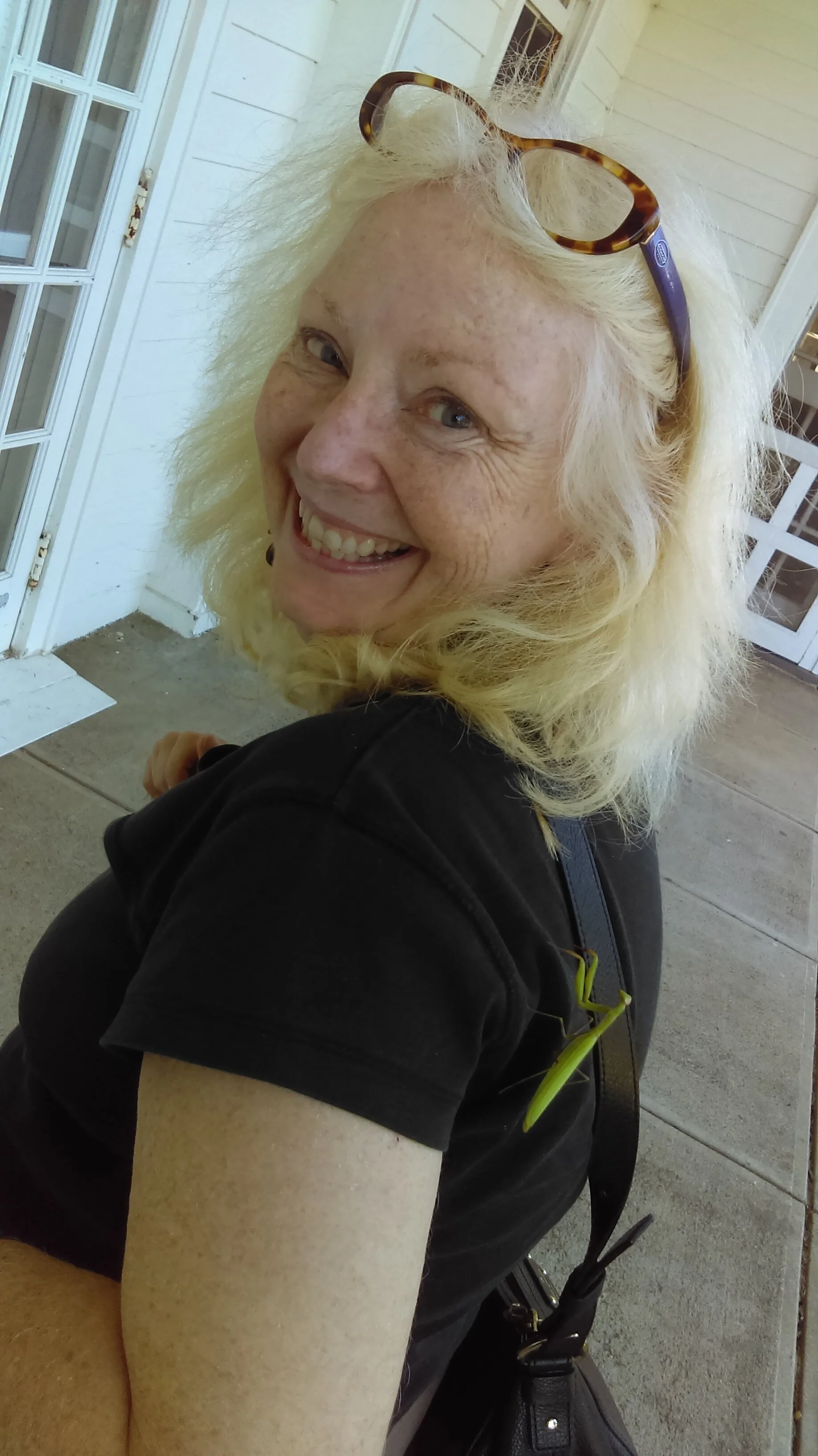 Susan Eldridge Terry