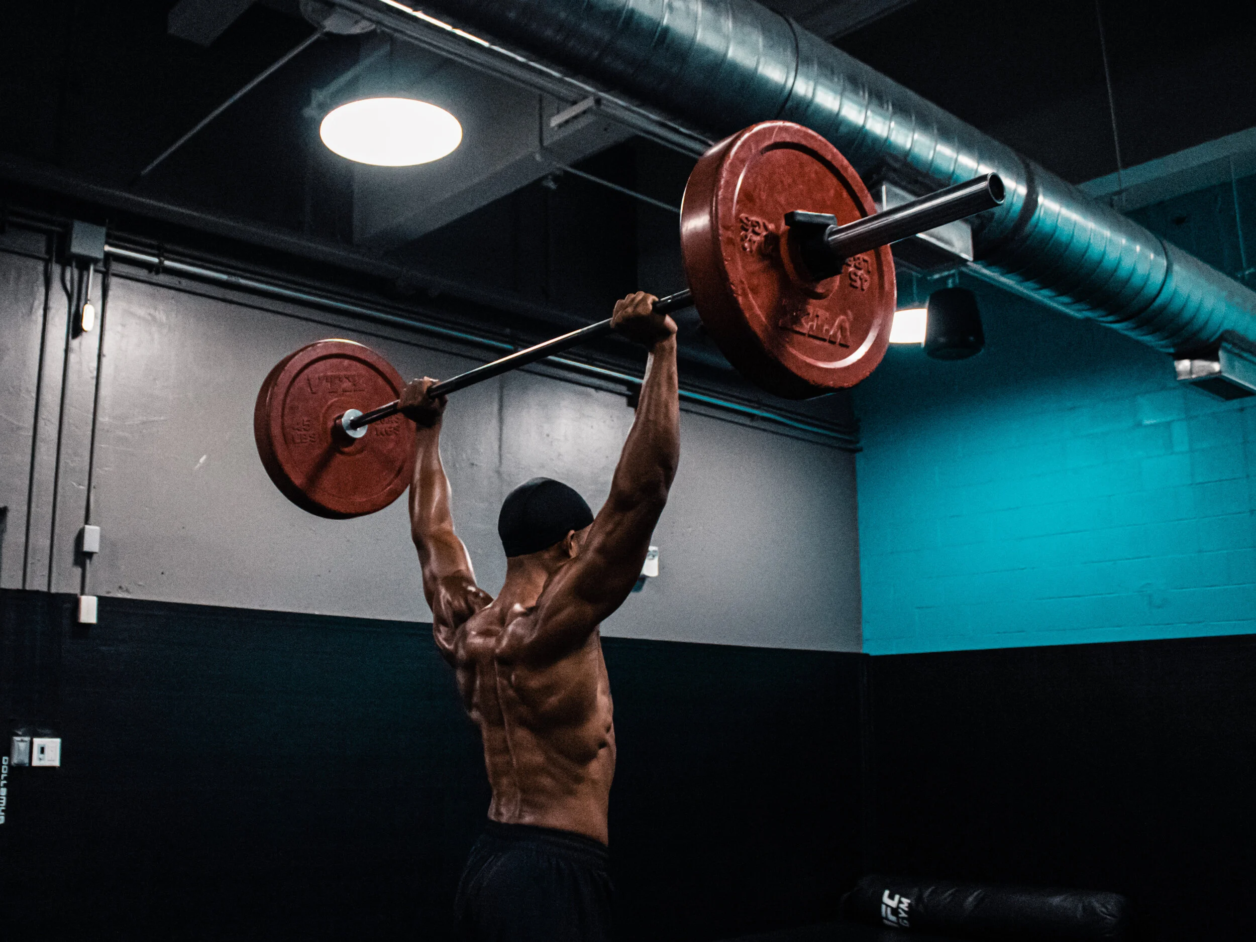 Alexander — Niche Models & Talent