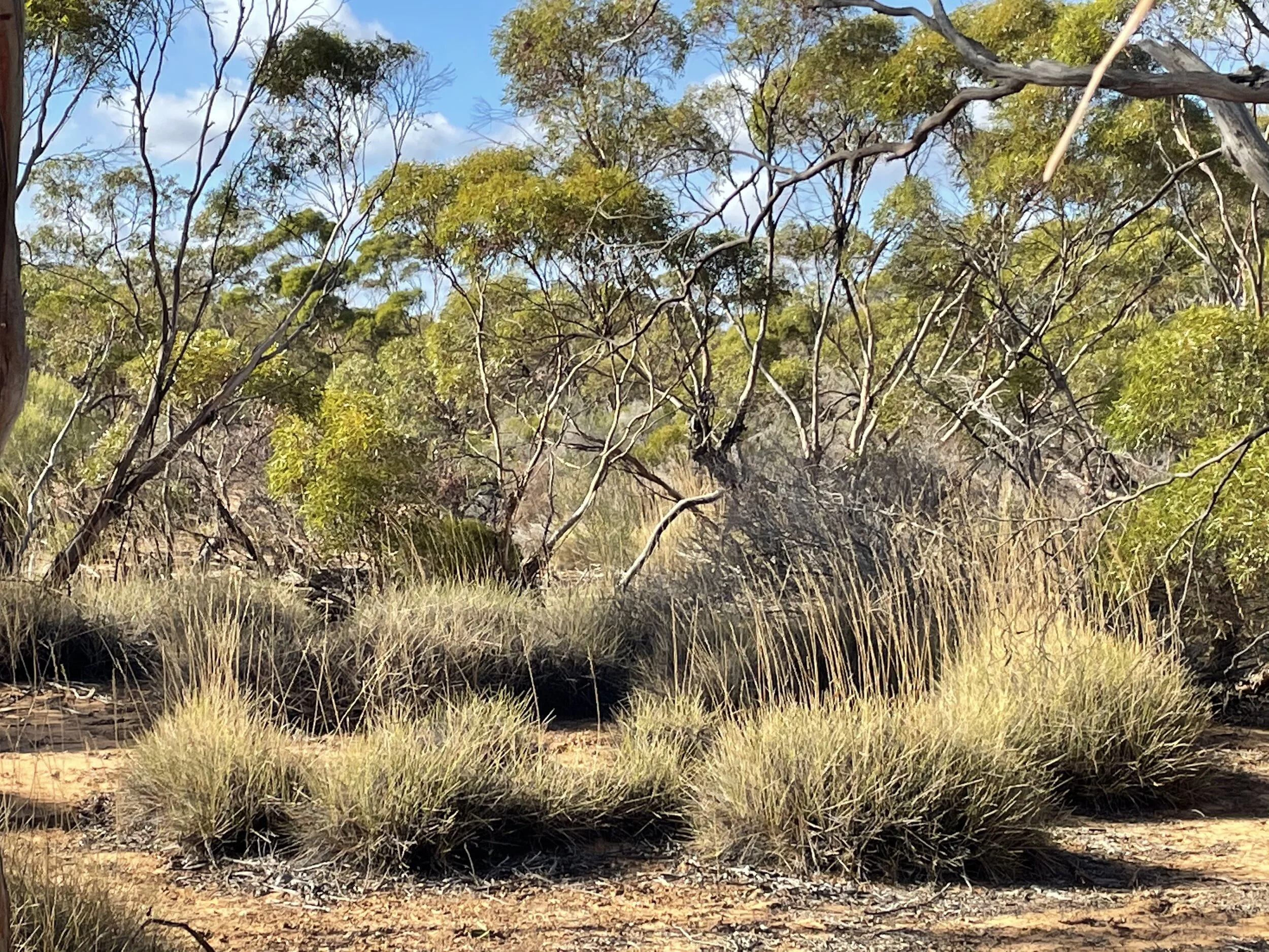 About Us — Hattah Bush Block