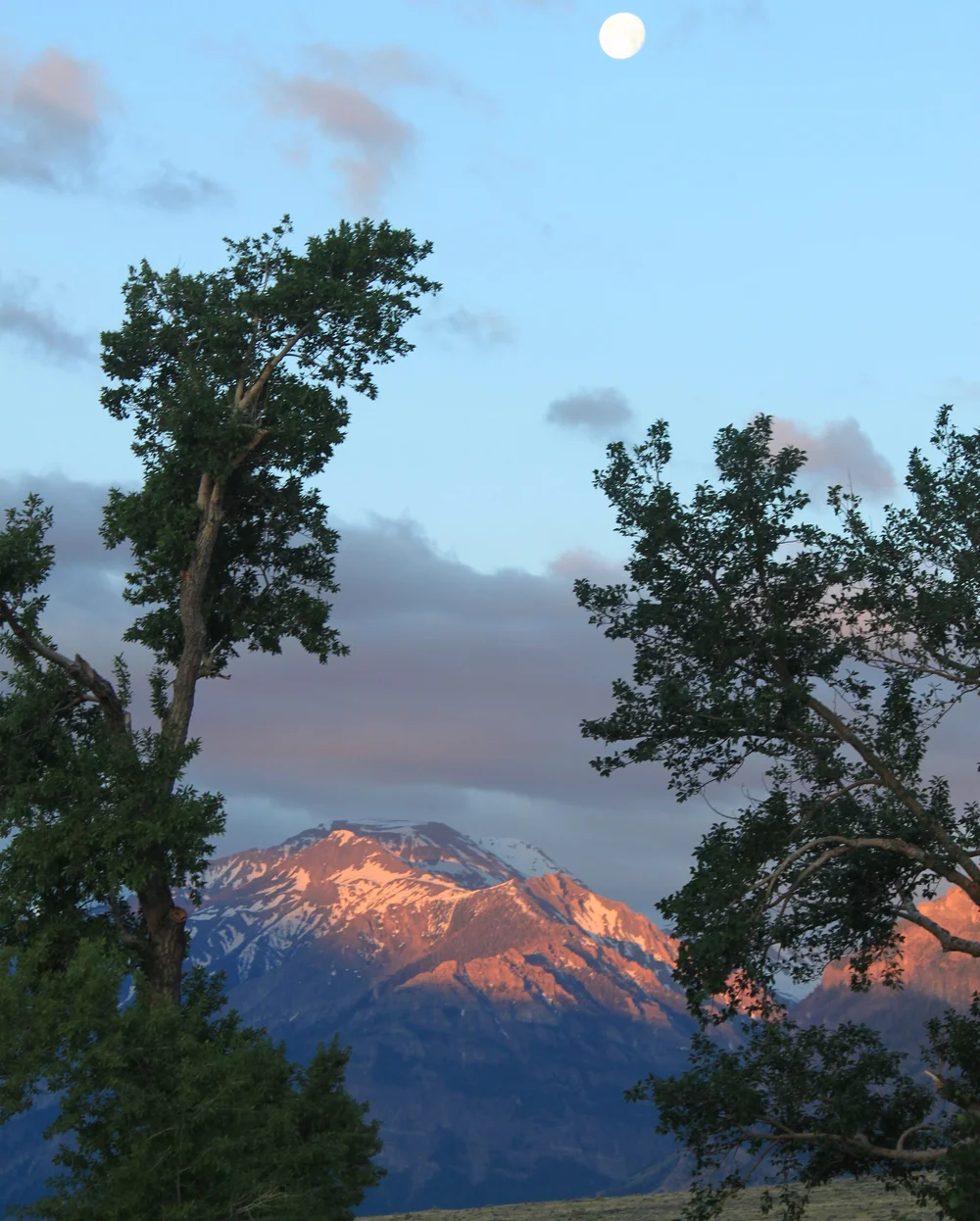 About DDX — Double Diamond X Ranch | Upper South Fork Valley | Cody ...