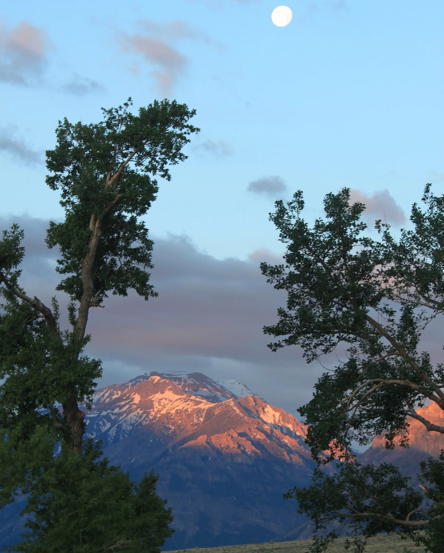 About DDX — Double Diamond X Ranch | Upper South Fork Valley | Cody ...