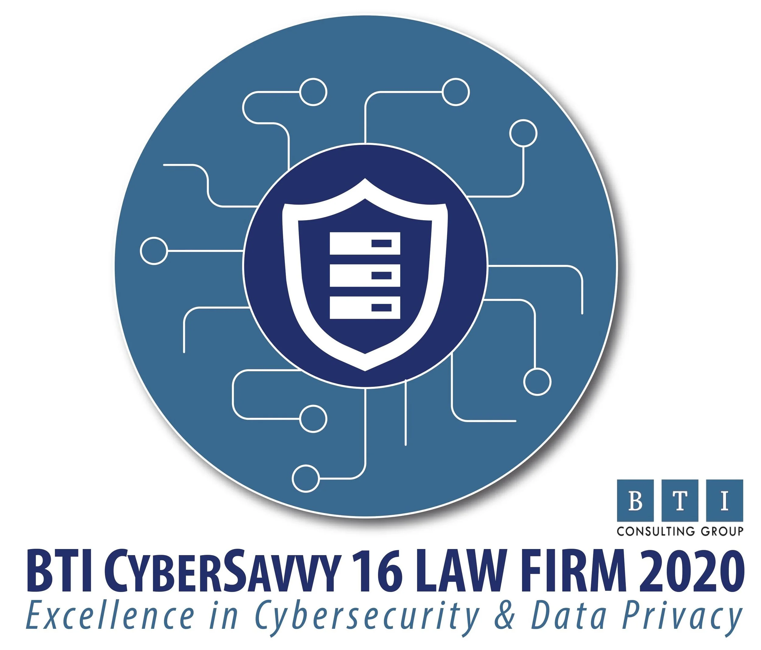 BTI Cybersurity & Data Privacy 2020 — BTI Consulting Group