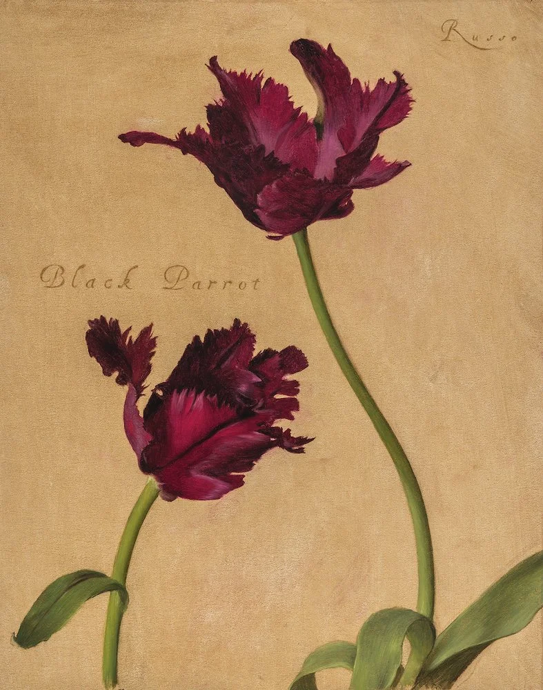 Paintings — Carlo Russo: Fine Artist