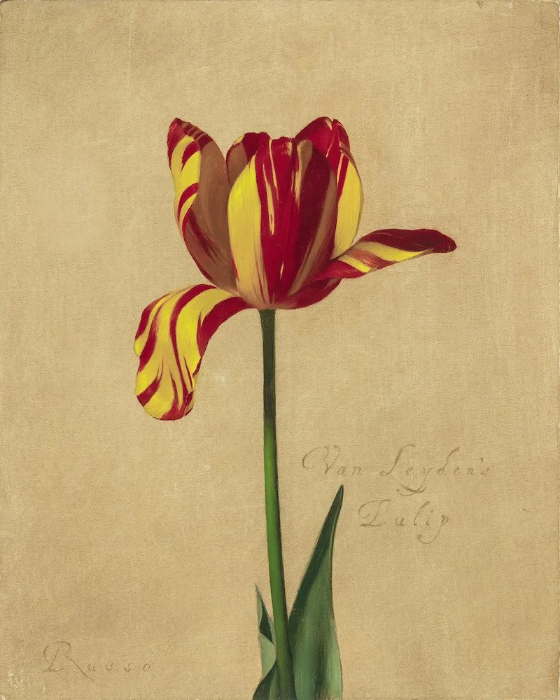 Paintings — Carlo Russo: Fine Artist