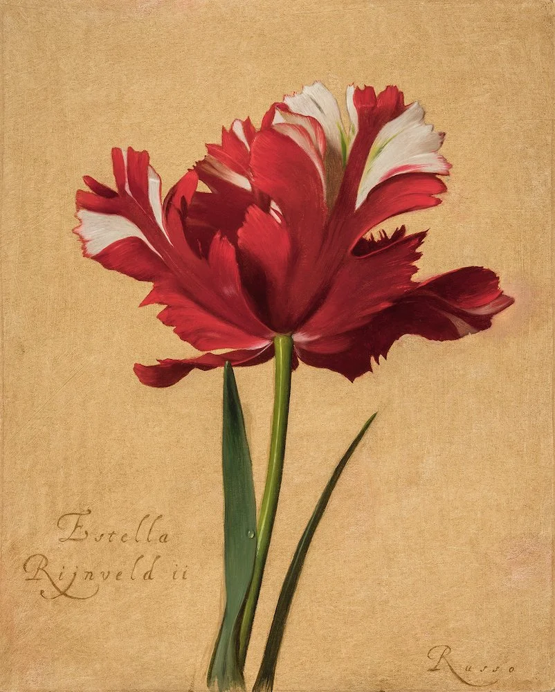 Paintings — Carlo Russo: Fine Artist