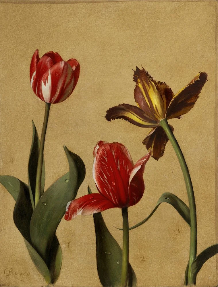 Paintings — Carlo Russo: Fine Artist