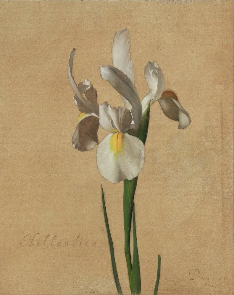 Paintings — Carlo Russo: Fine Artist