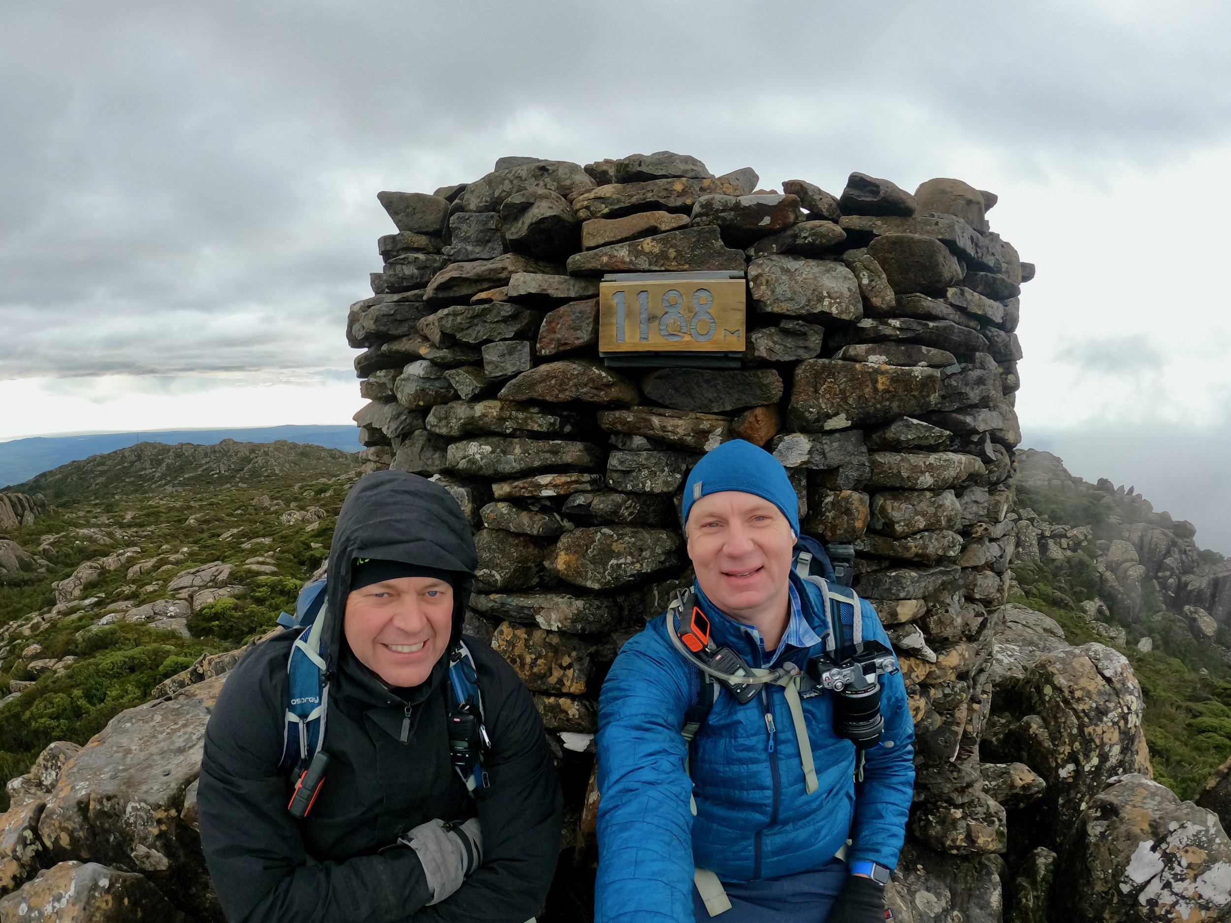 Mt Arthur — Chasing Cheetahs