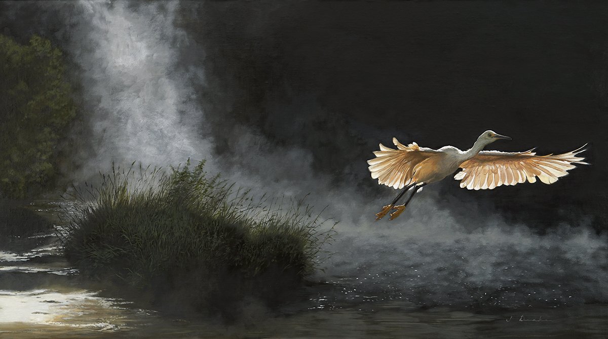 JASON DRAKE