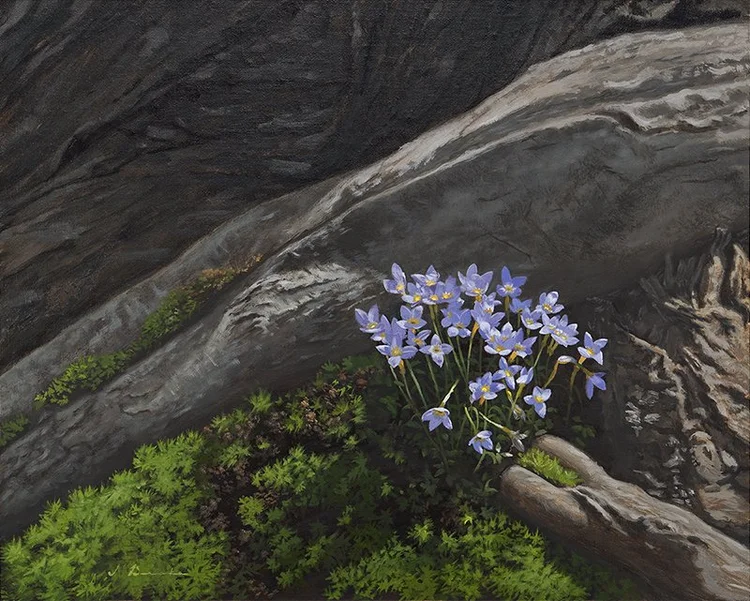 Purchase Original Art by Jason Drake — JASON DRAKE