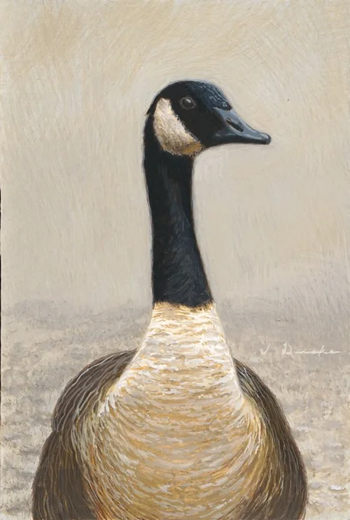 Purchase Original Art by Jason Drake — JASON DRAKE