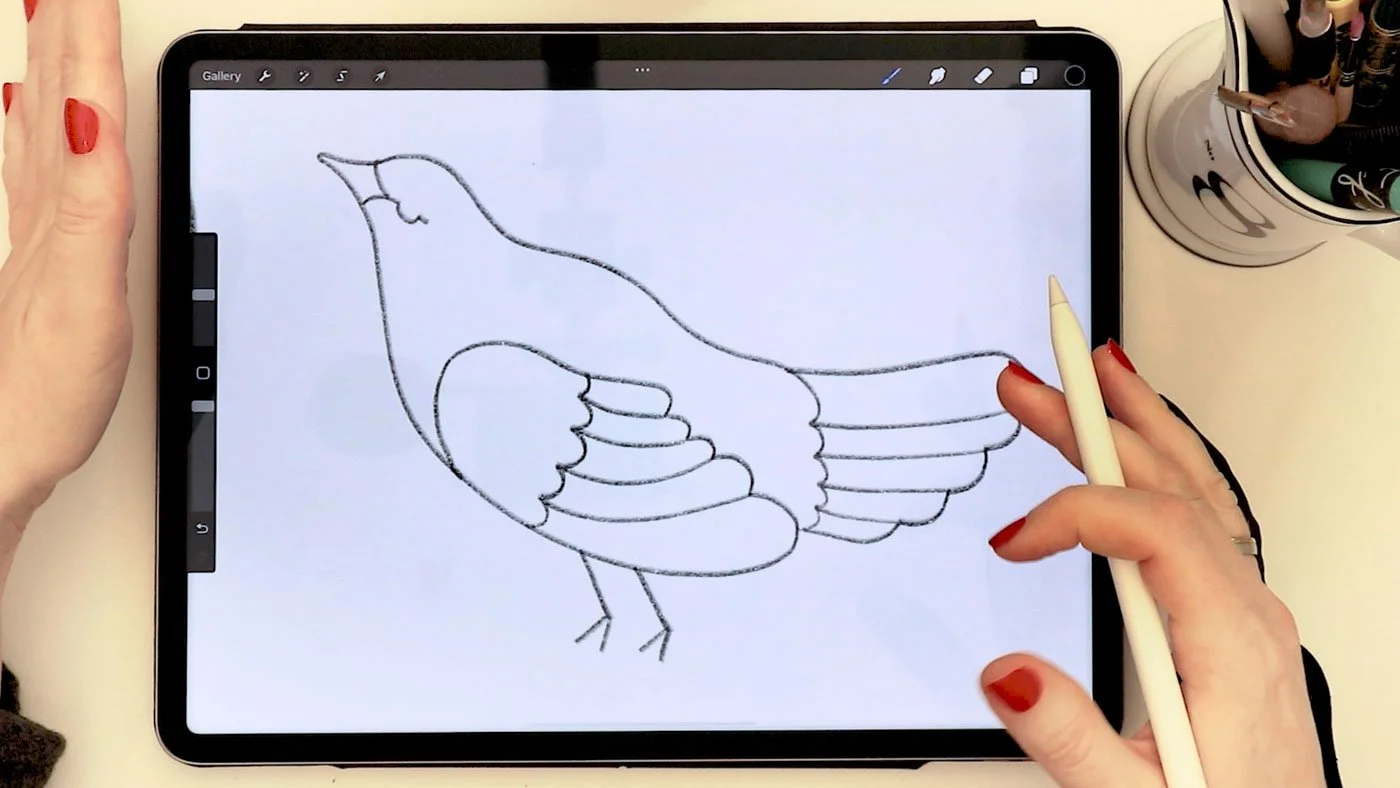 How to Draw Folk Art in Procreate | Molly Suber Thorpe