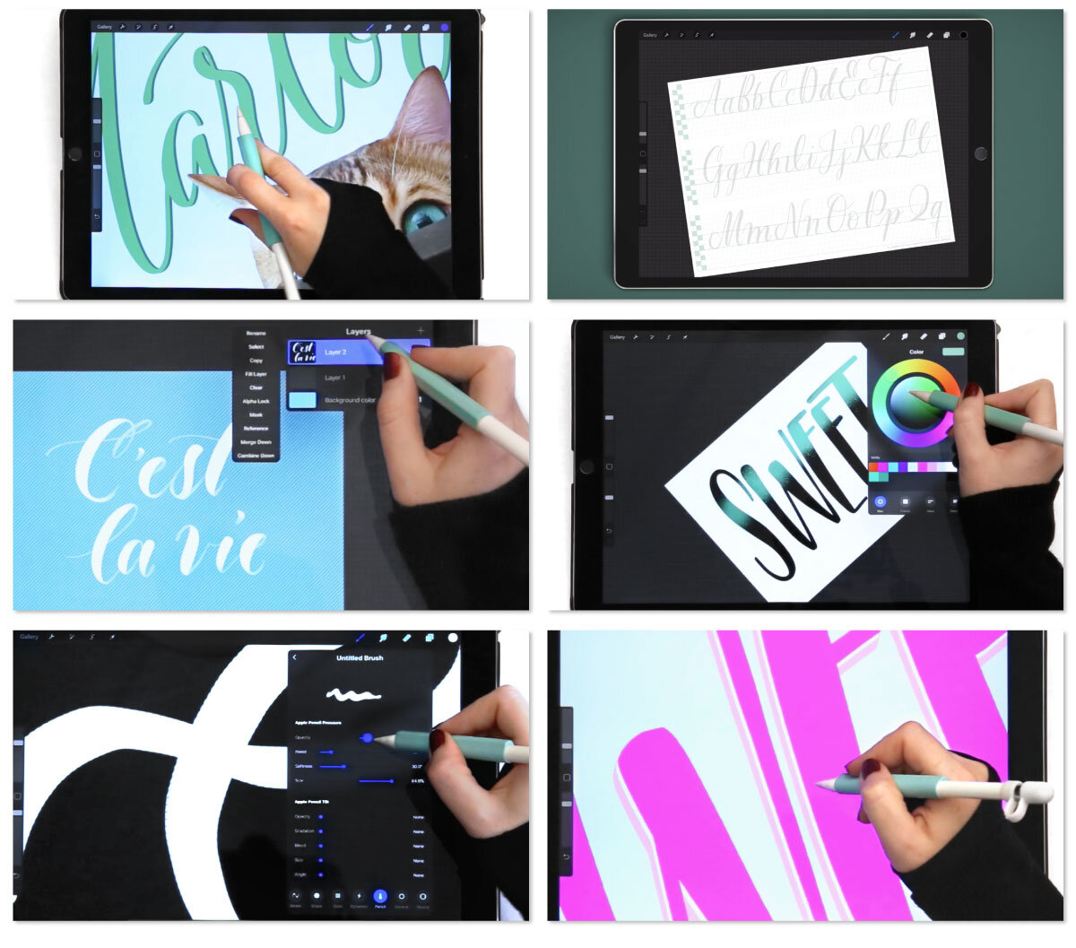 Skillshare Class: iPad Hand Lettering | Molly Suber Thorpe