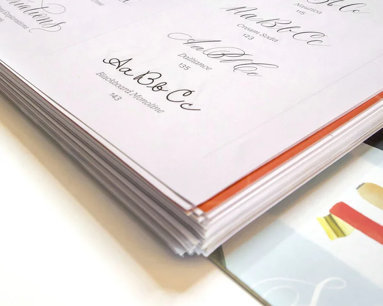 Mastering Modern Calligraphy Book | Molly Suber Thorpe