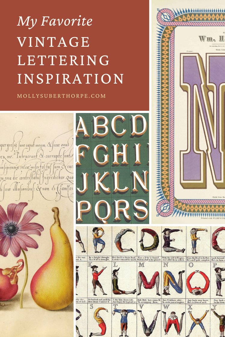 Where I Go for Calligraphy & Lettering Inspiration | Molly Suber Thorpe