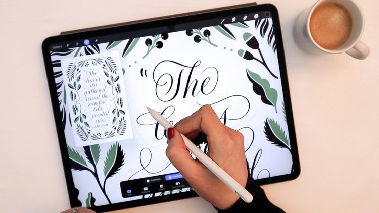 Practice Calligraphy with the Procreate Reference Window | Molly Suber ...