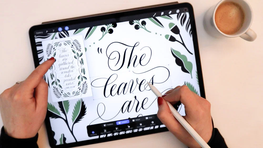 Practice Calligraphy with the Procreate Reference Window | Molly Suber ...