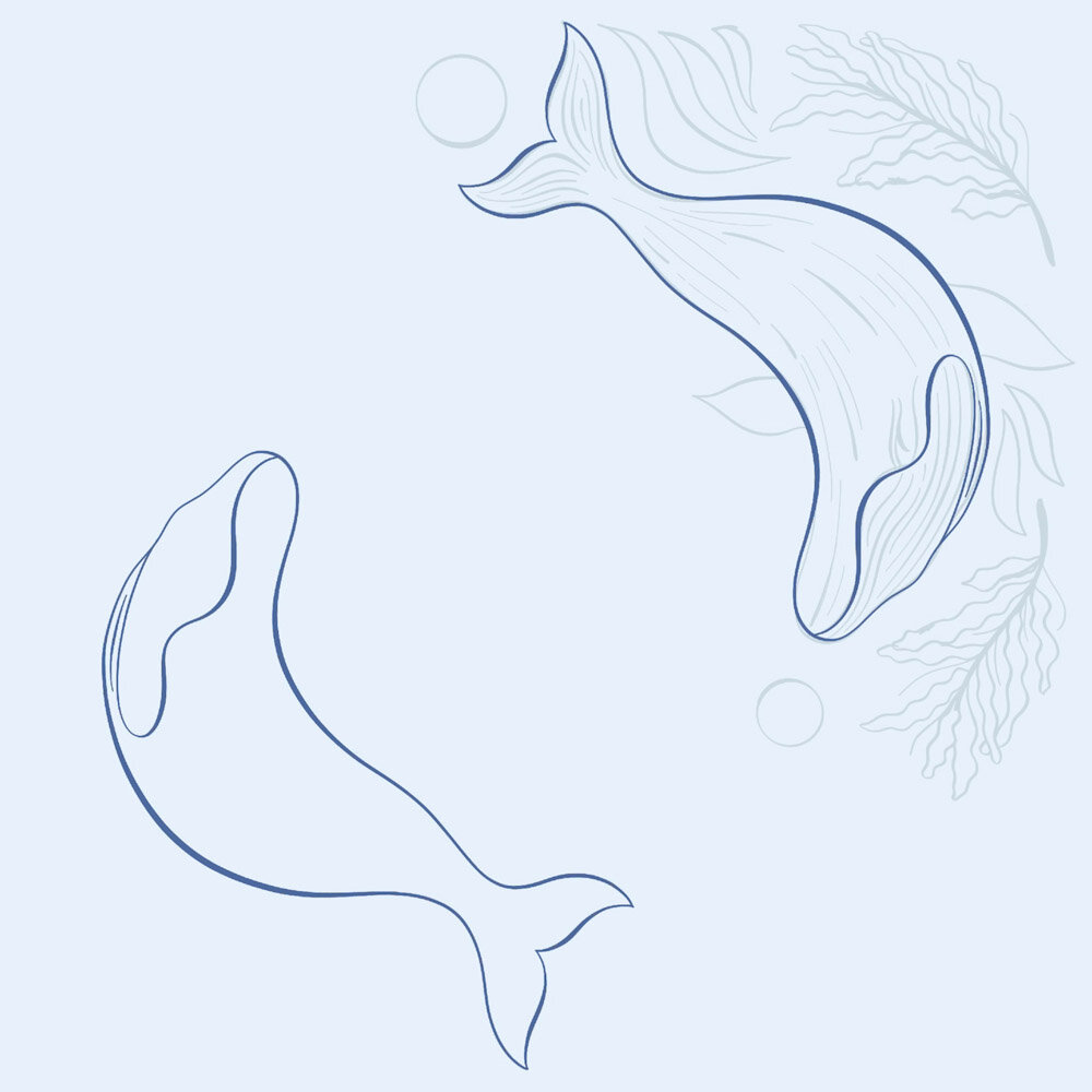 Calligraphy Whale Flourish Illustration