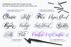 Calligraphy Shop | Practice Sheets, Procreate Brushes, Fonts